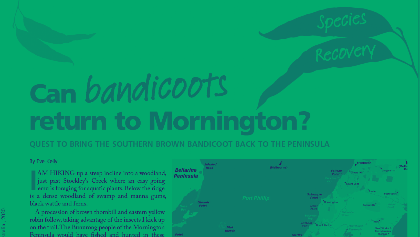 Features – Eve Kelly